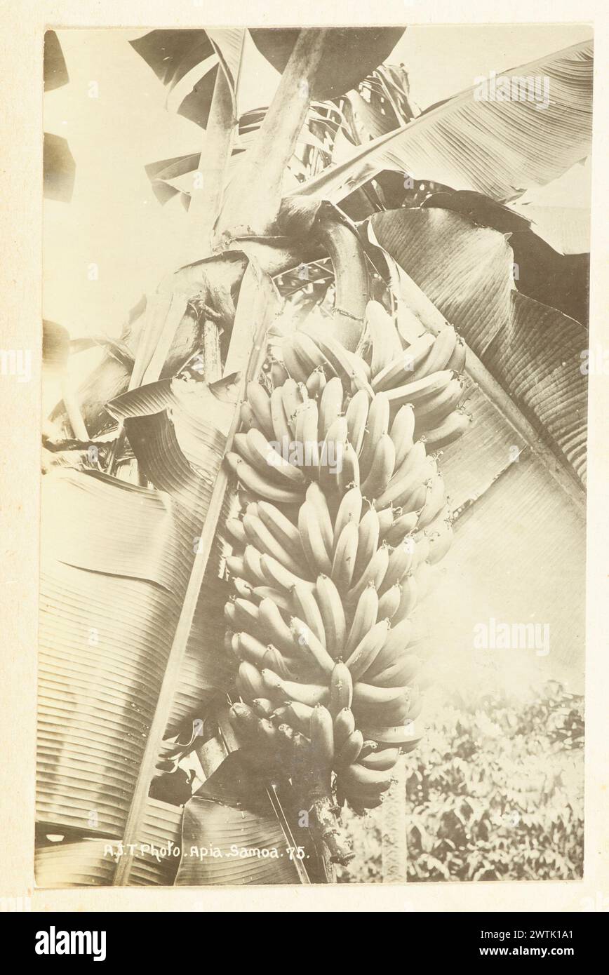 Skerman family album hi-res stock photography and images - Alamy