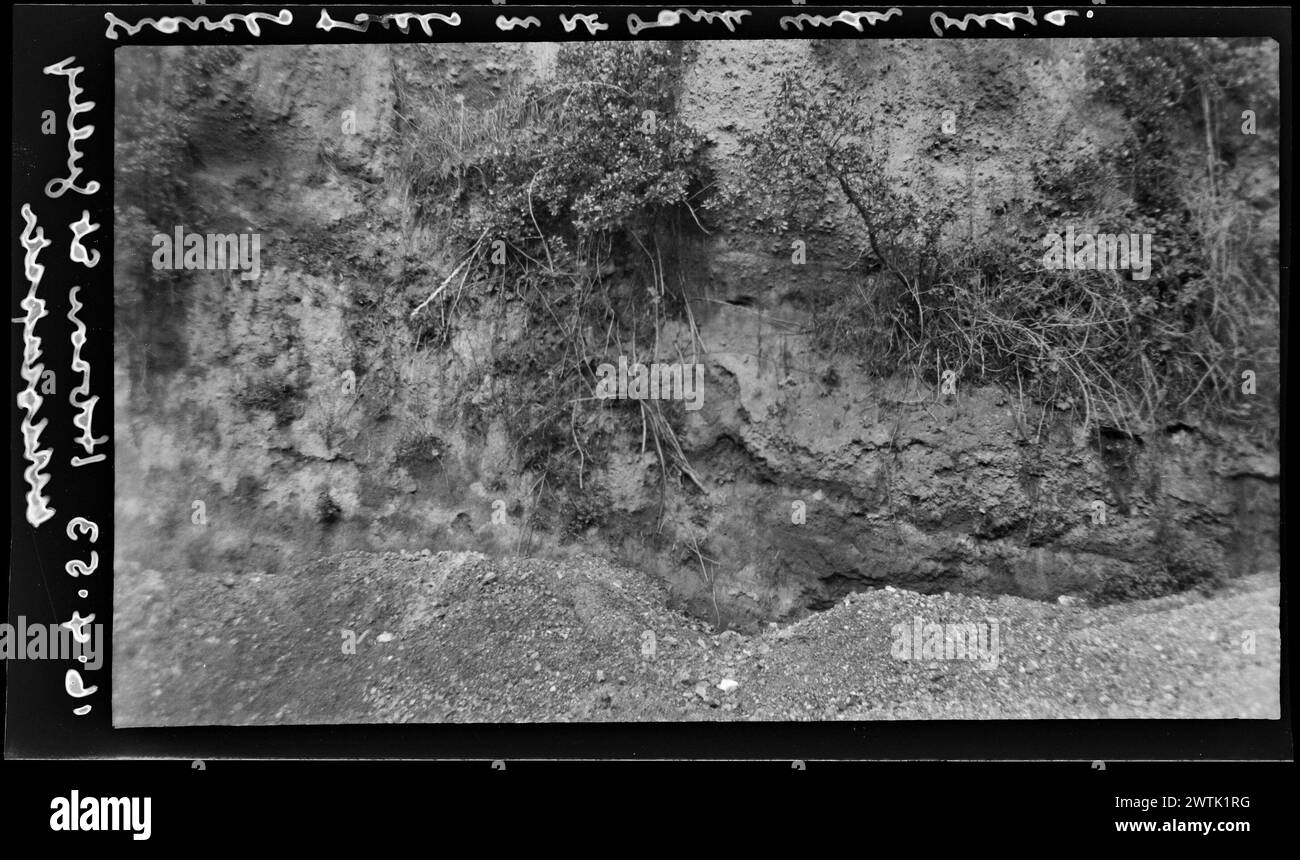 Looking up gully to bridge; Hobson Street gully gelatin silver ...