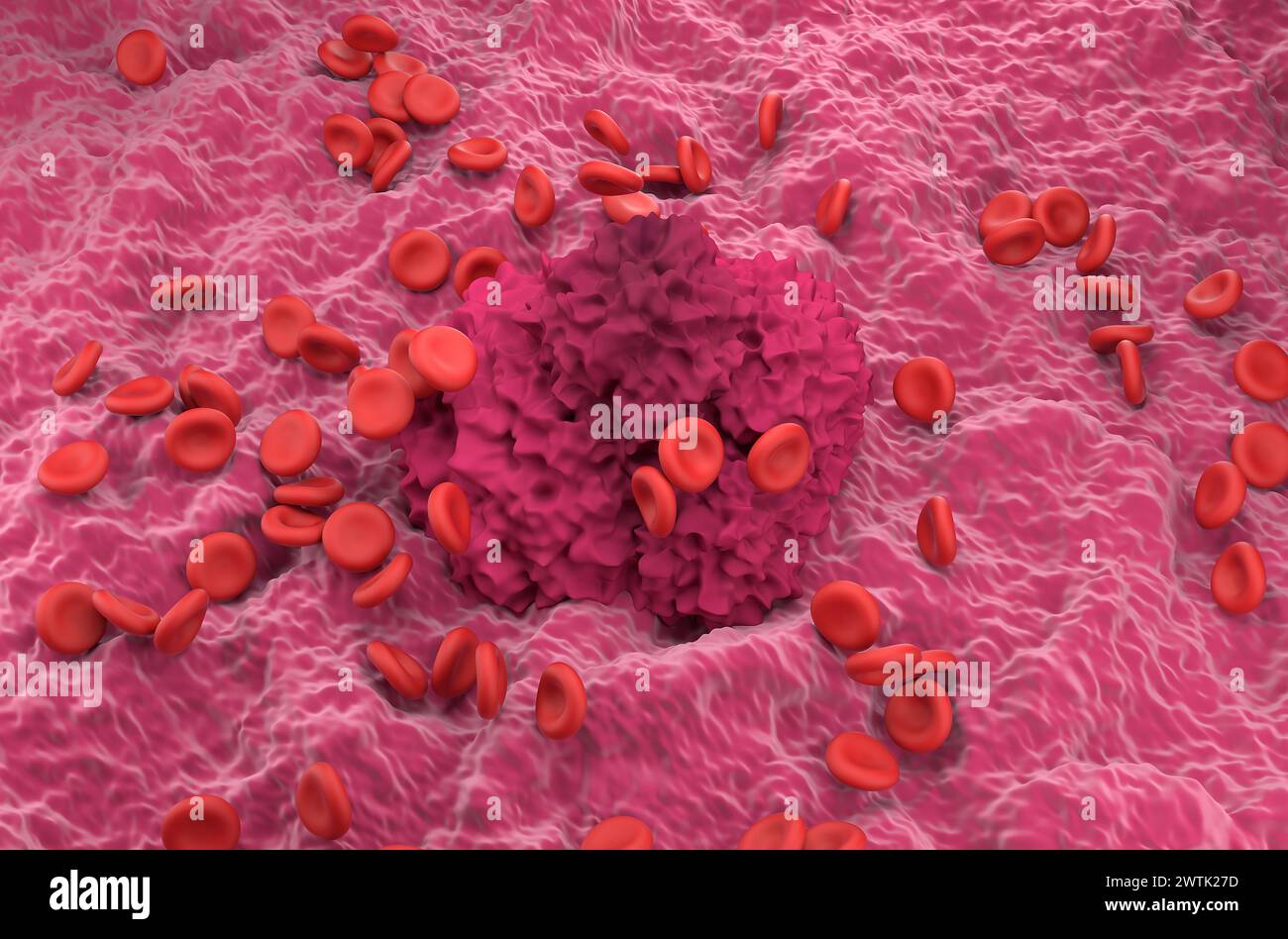 Red cells and fibrin coagulum - isometric view 3d illustration Stock ...