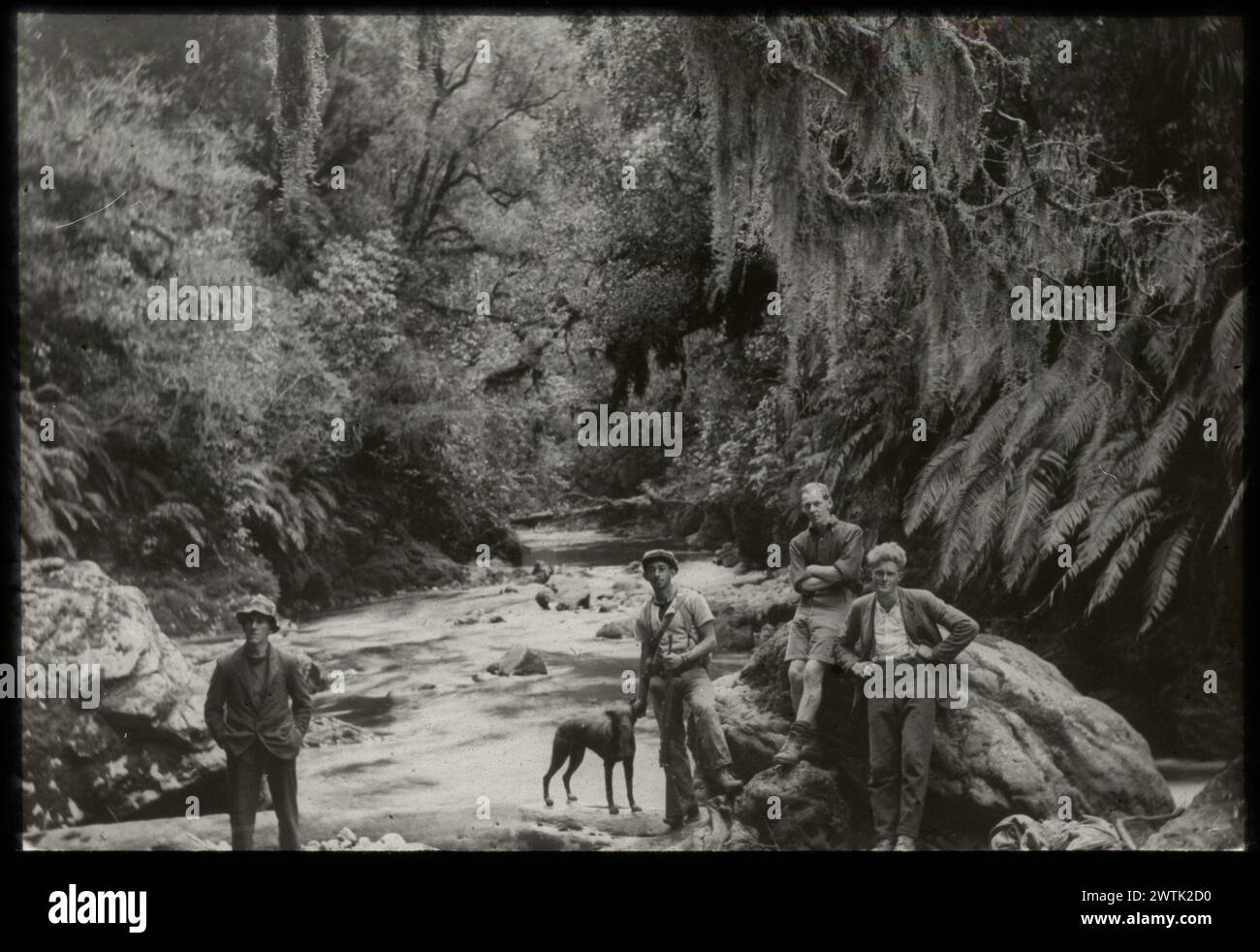 The Ohau Track route into Central Tararuas - Ohau River ... colour ...