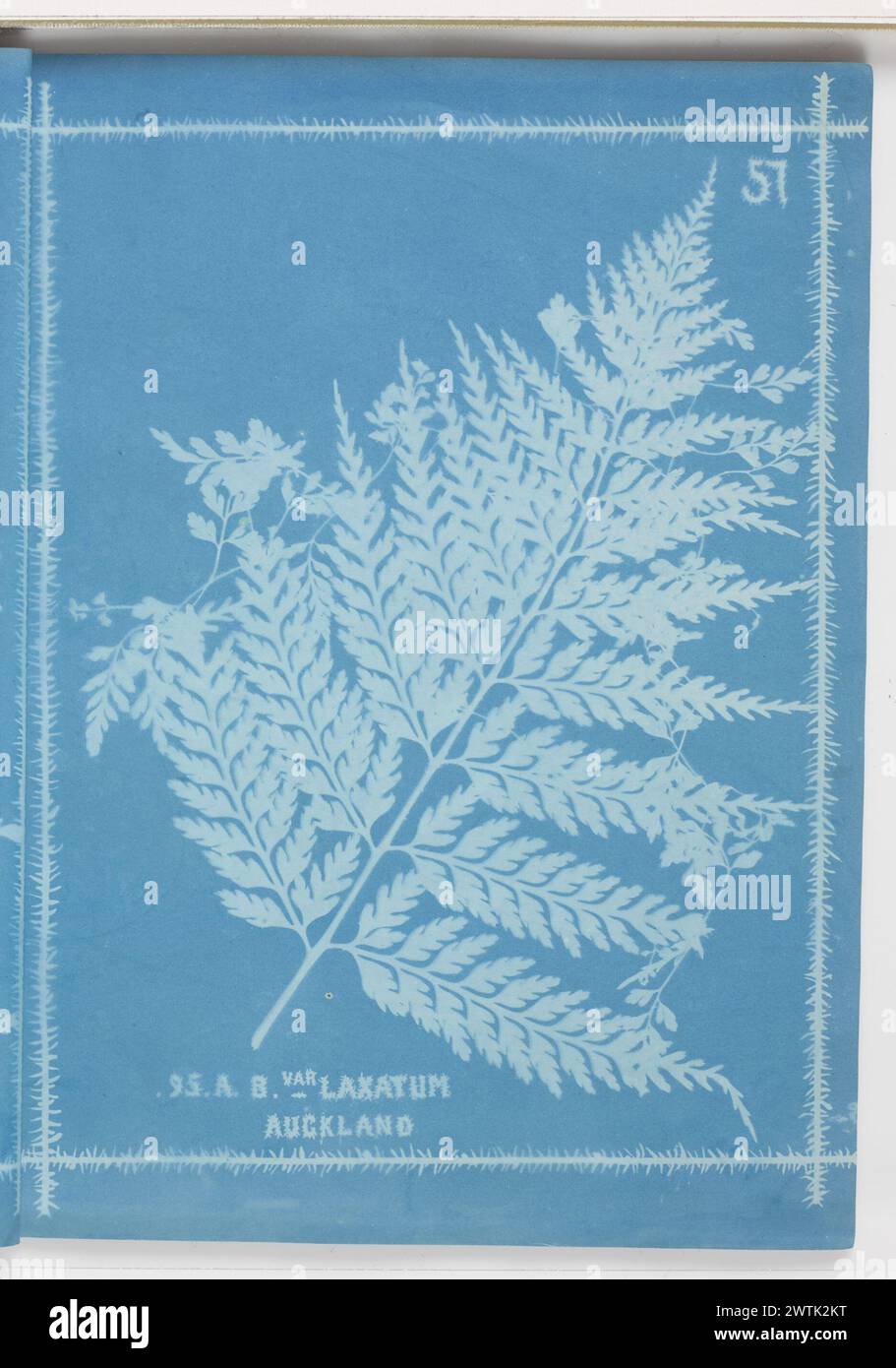 Laxatum hi-res stock photography and images - Alamy