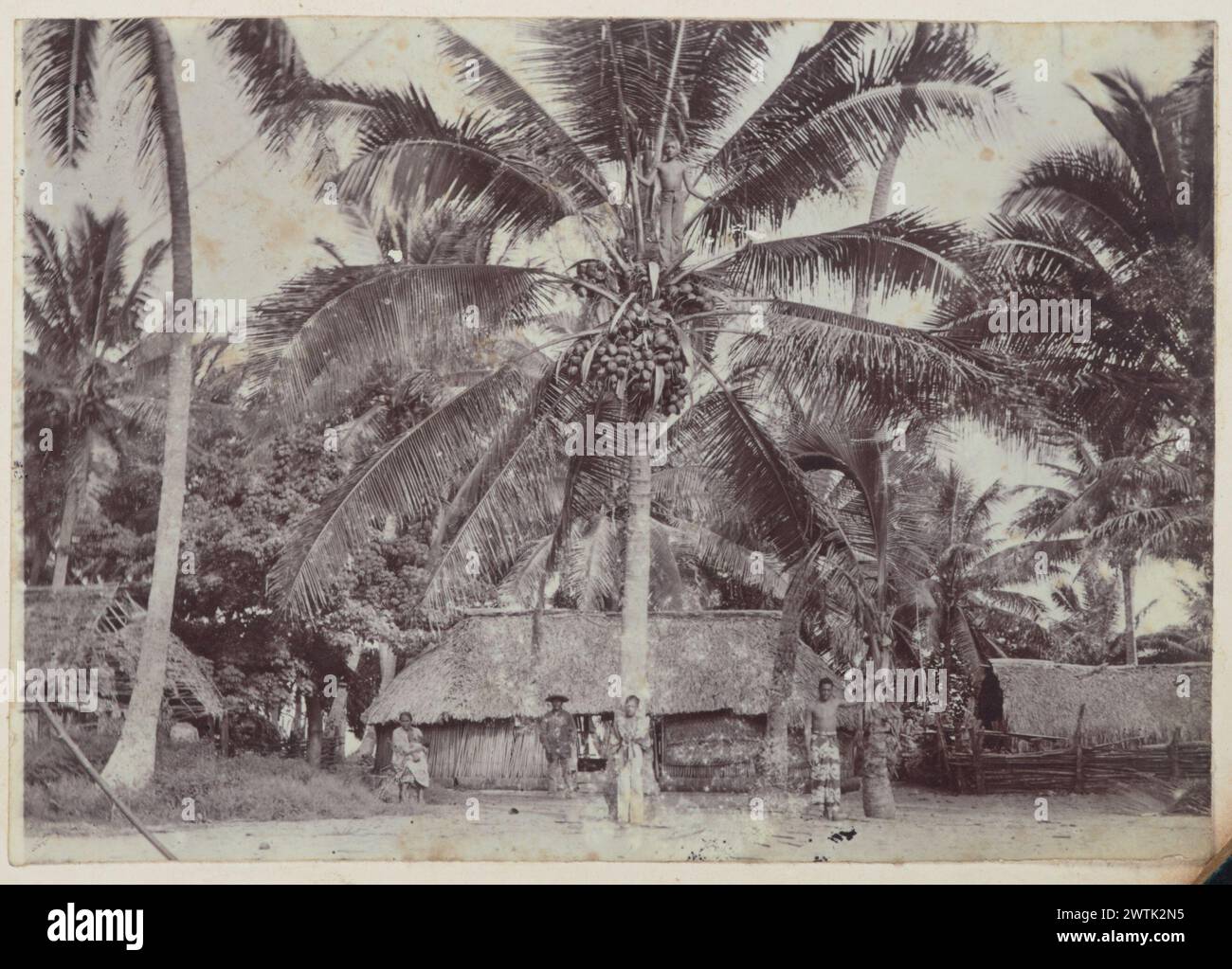 Cook islands from the album hi-res stock photography and images - Alamy