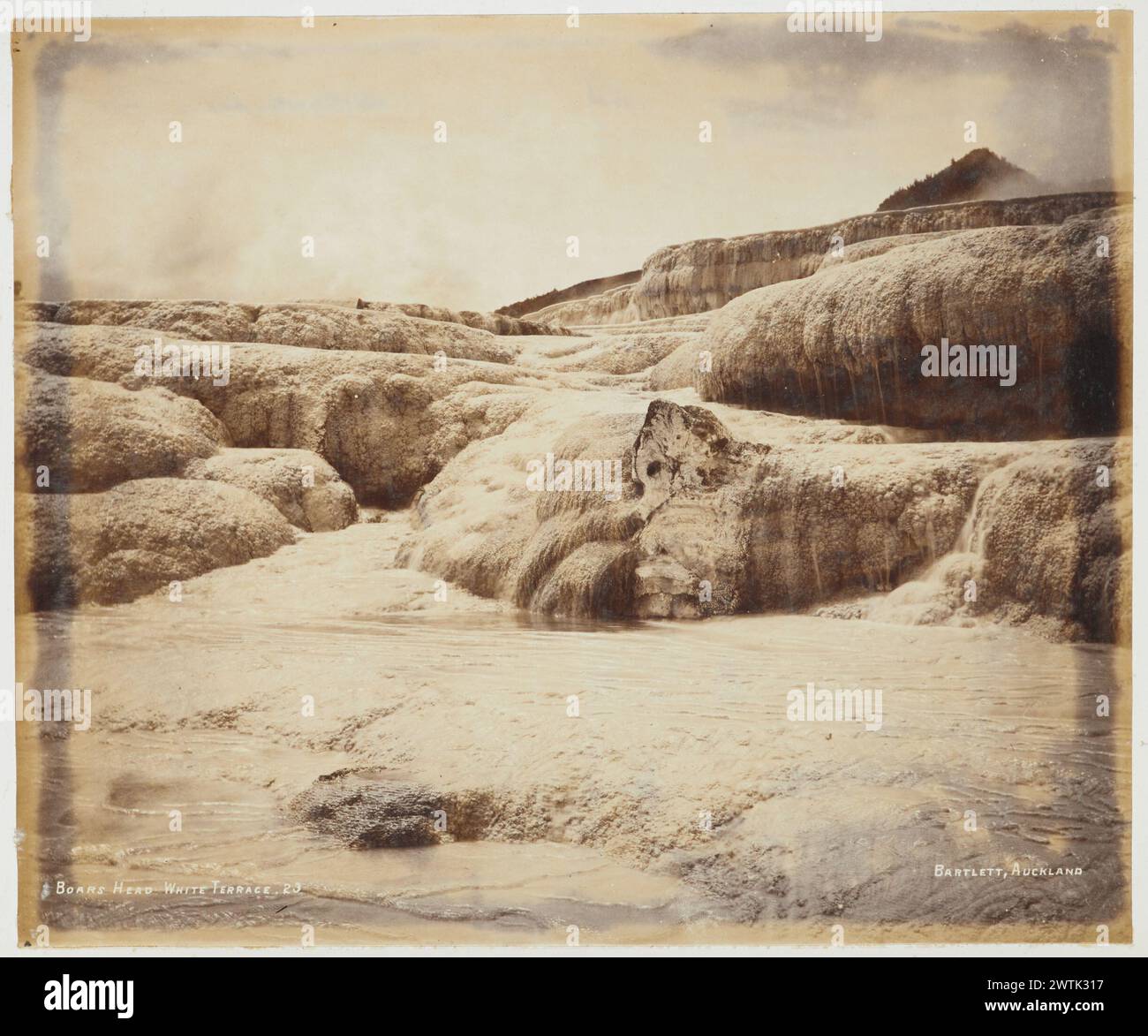 White terrace boars head hi-res stock photography and images - Alamy