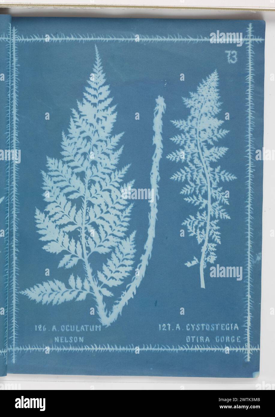 Otira gorge from the a hi-res stock photography and images - Alamy