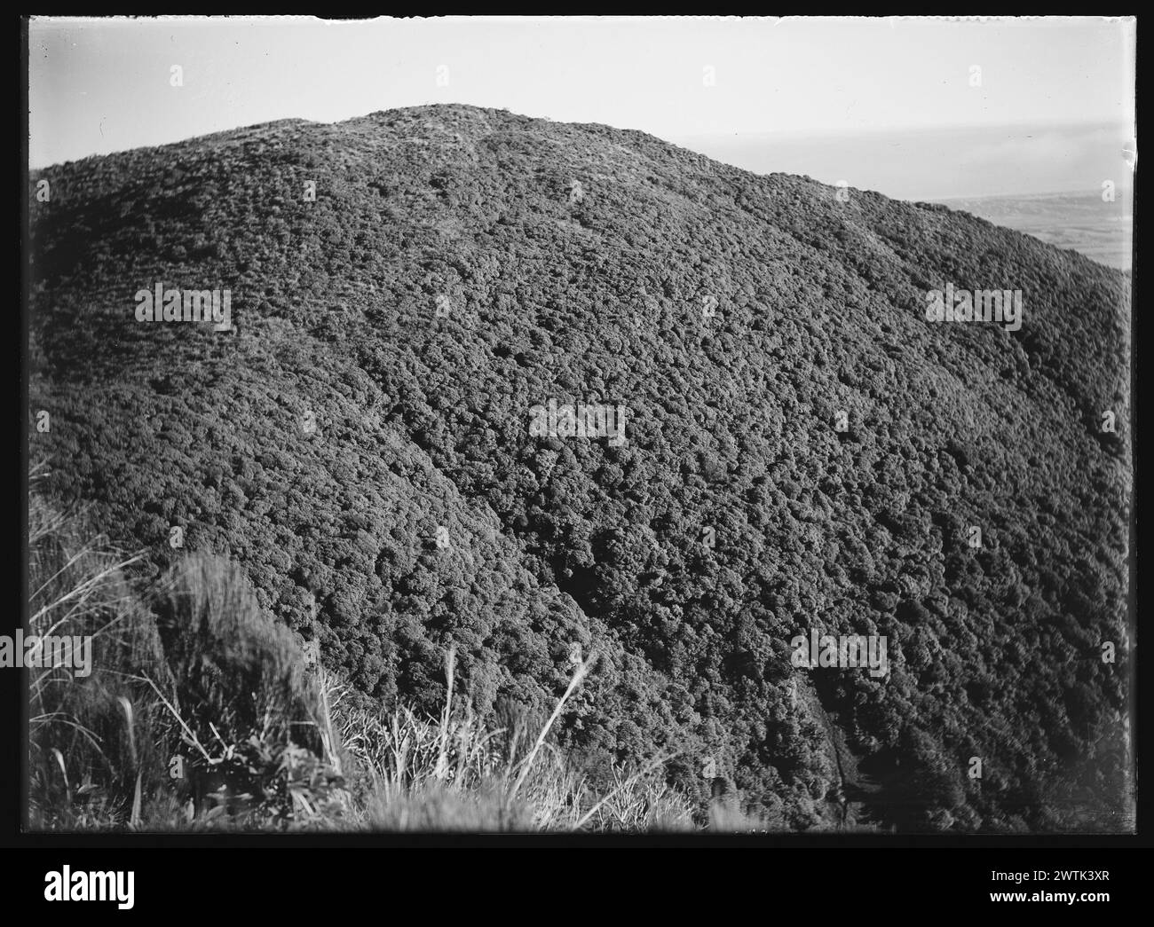 First visit to Oriwa Hollow : 2 June 1928-4 June 1928 black-and-white ...