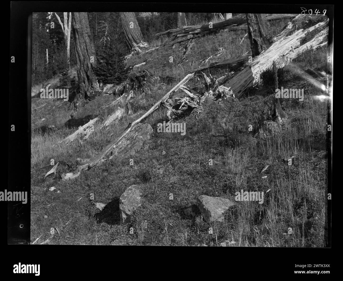 Damaged negatives Black and White Stock Photos & Images - Alamy