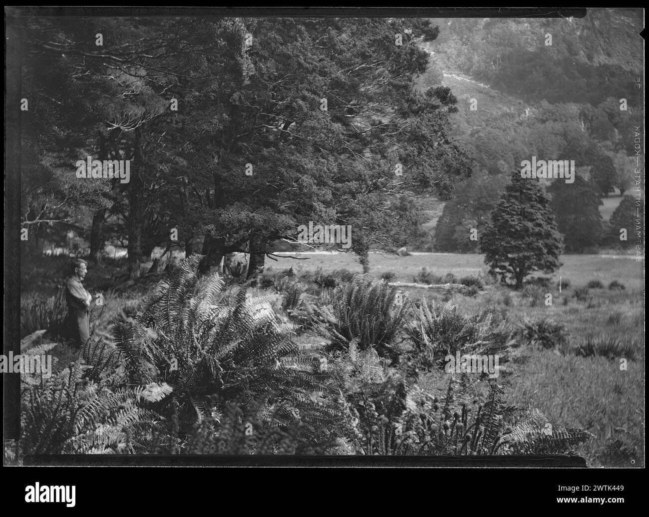 Lake Wanaka - Wilkin River : December 1929-January 1930 Nitrate ...