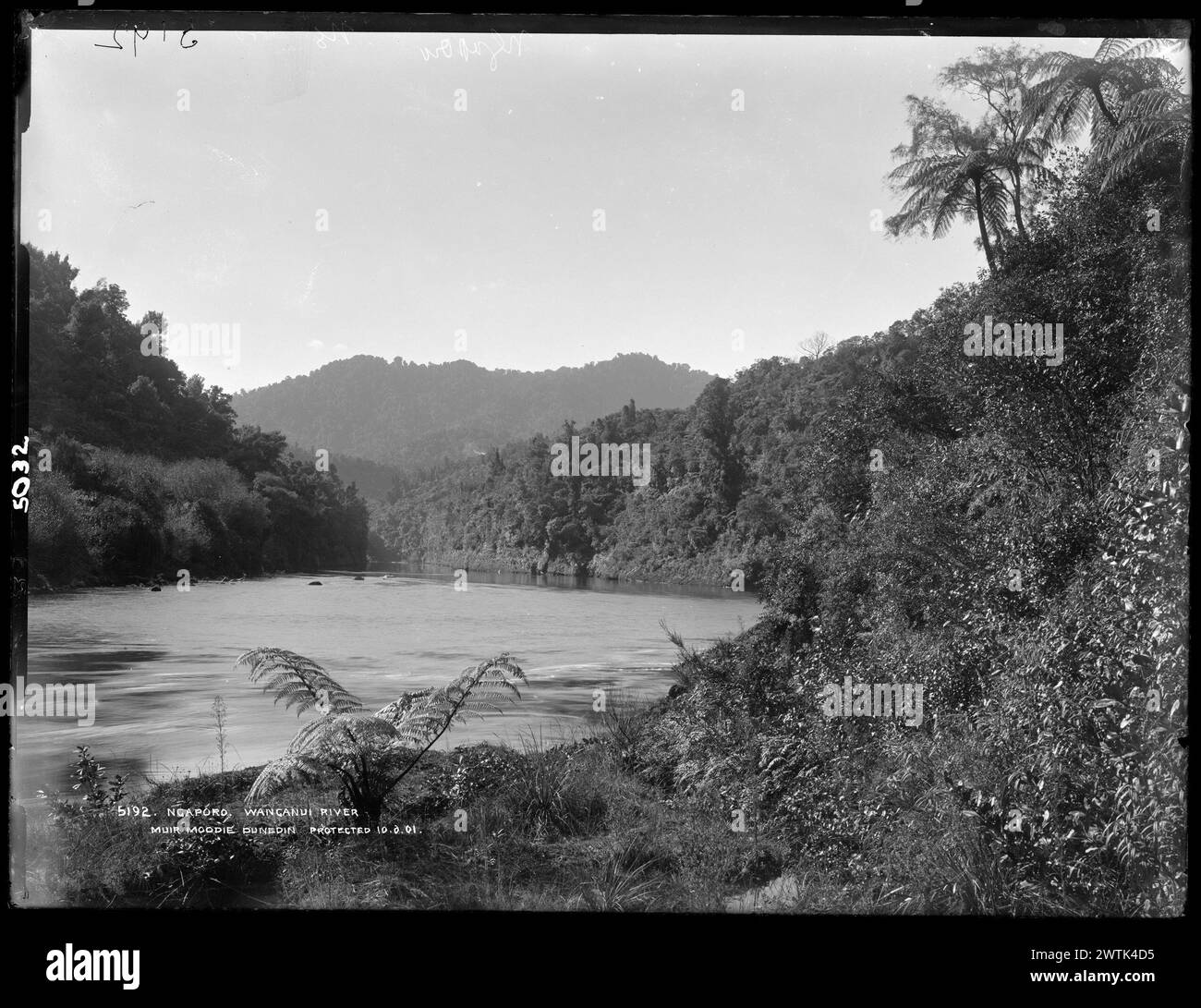 Wanganui river ngaporo hi-res stock photography and images - Alamy