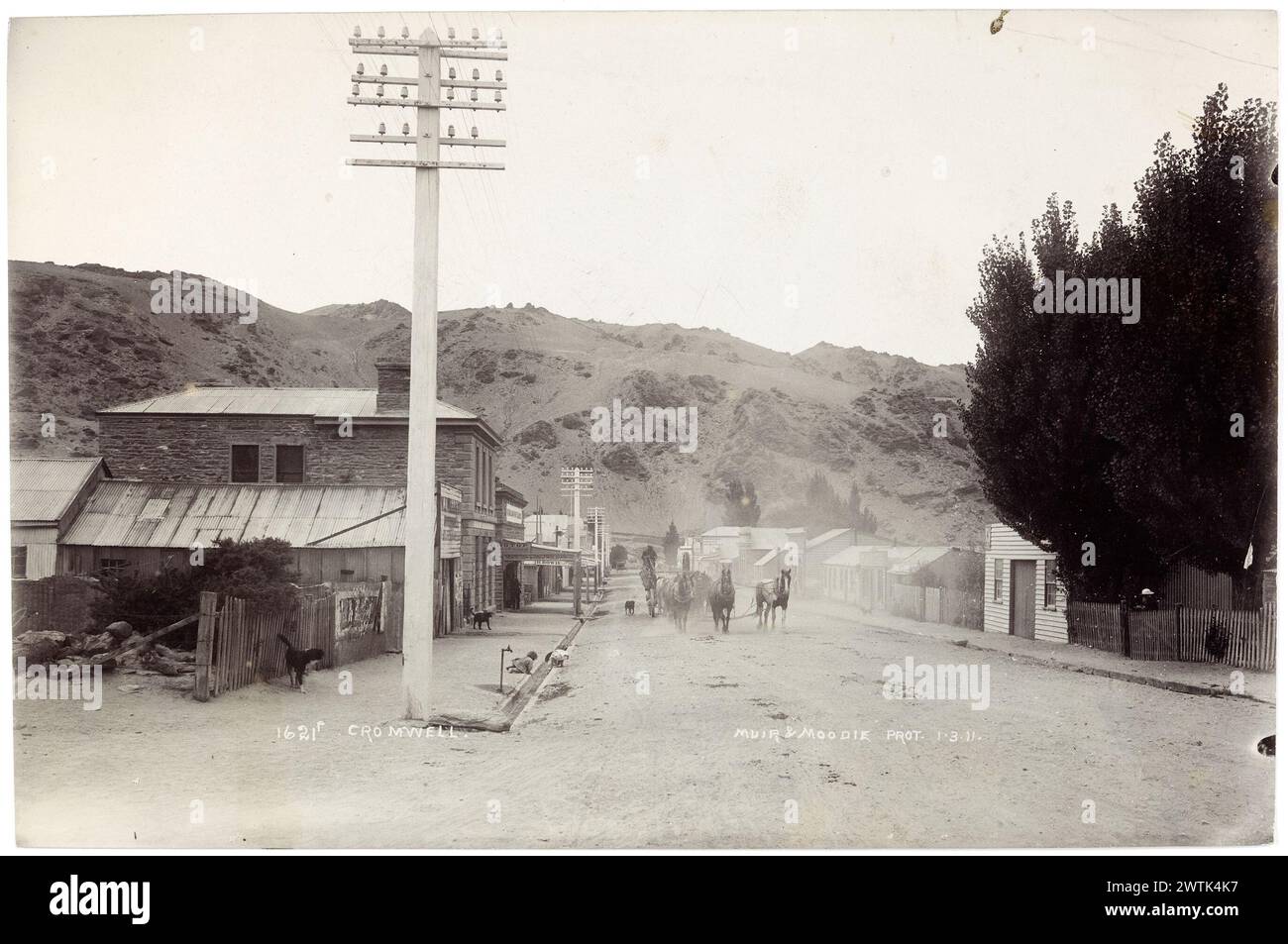 Photography black and white Cut Out Stock Images & Pictures - Alamy