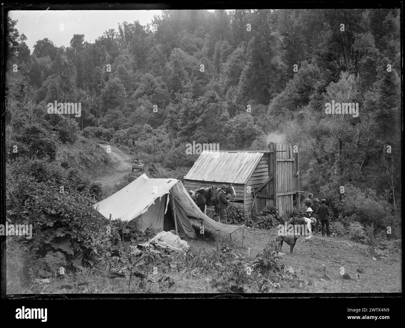 Half-way turn - Pipiriki to Raetihi Road gelatin silver negatives ...