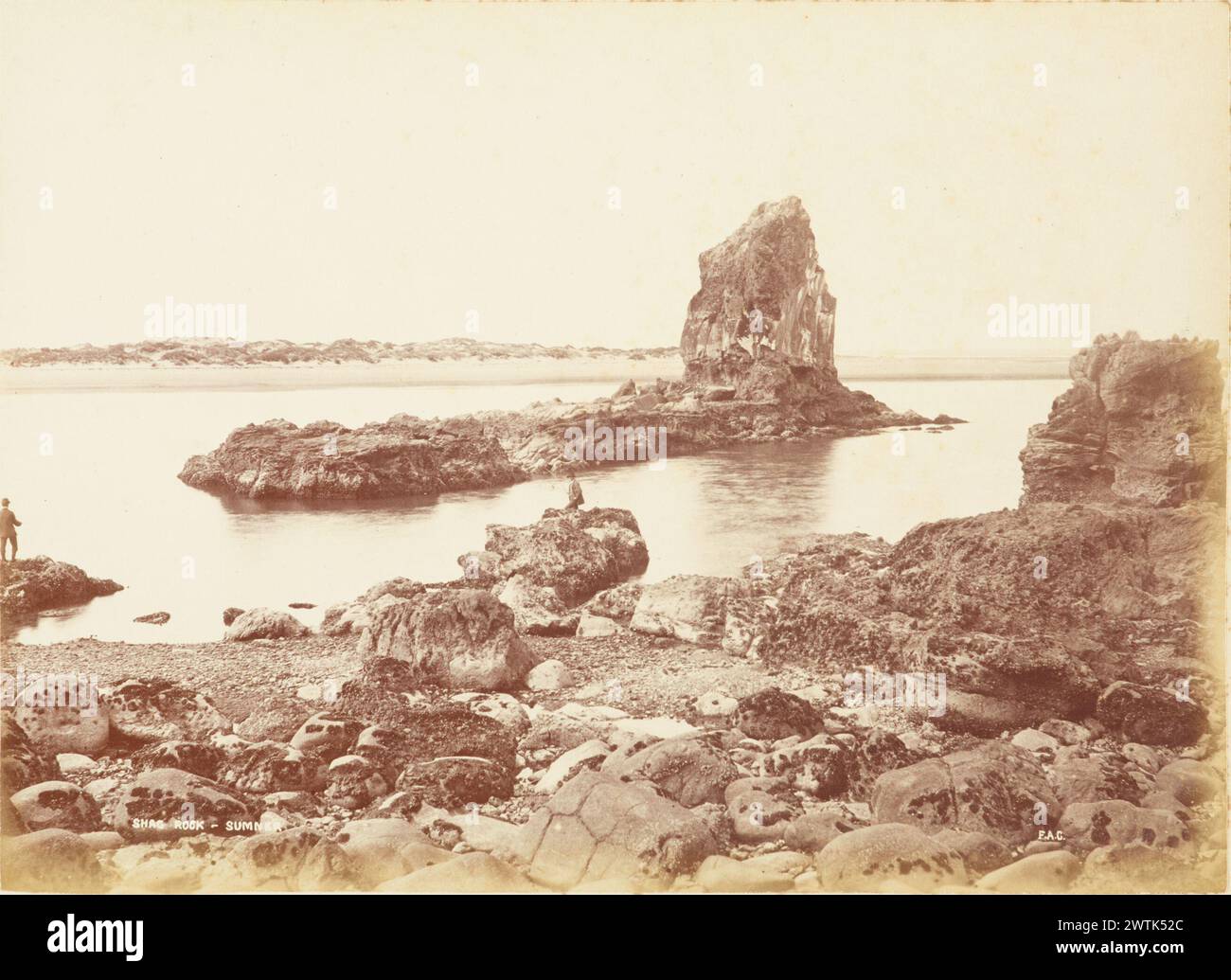 Sumner from the album hi-res stock photography and images - Alamy