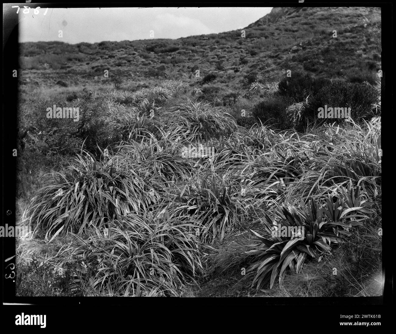 Fellfield hi-res stock photography and images - Alamy