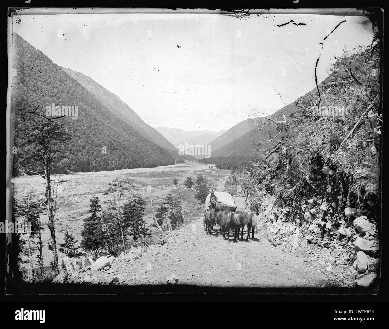 Bealey Gorge wet collodion negatives, black-and-white negatives Stock ...
