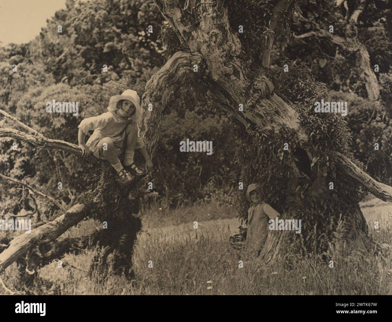 The Great Konini (16) gelatin silver prints, black-and-white prints ...
