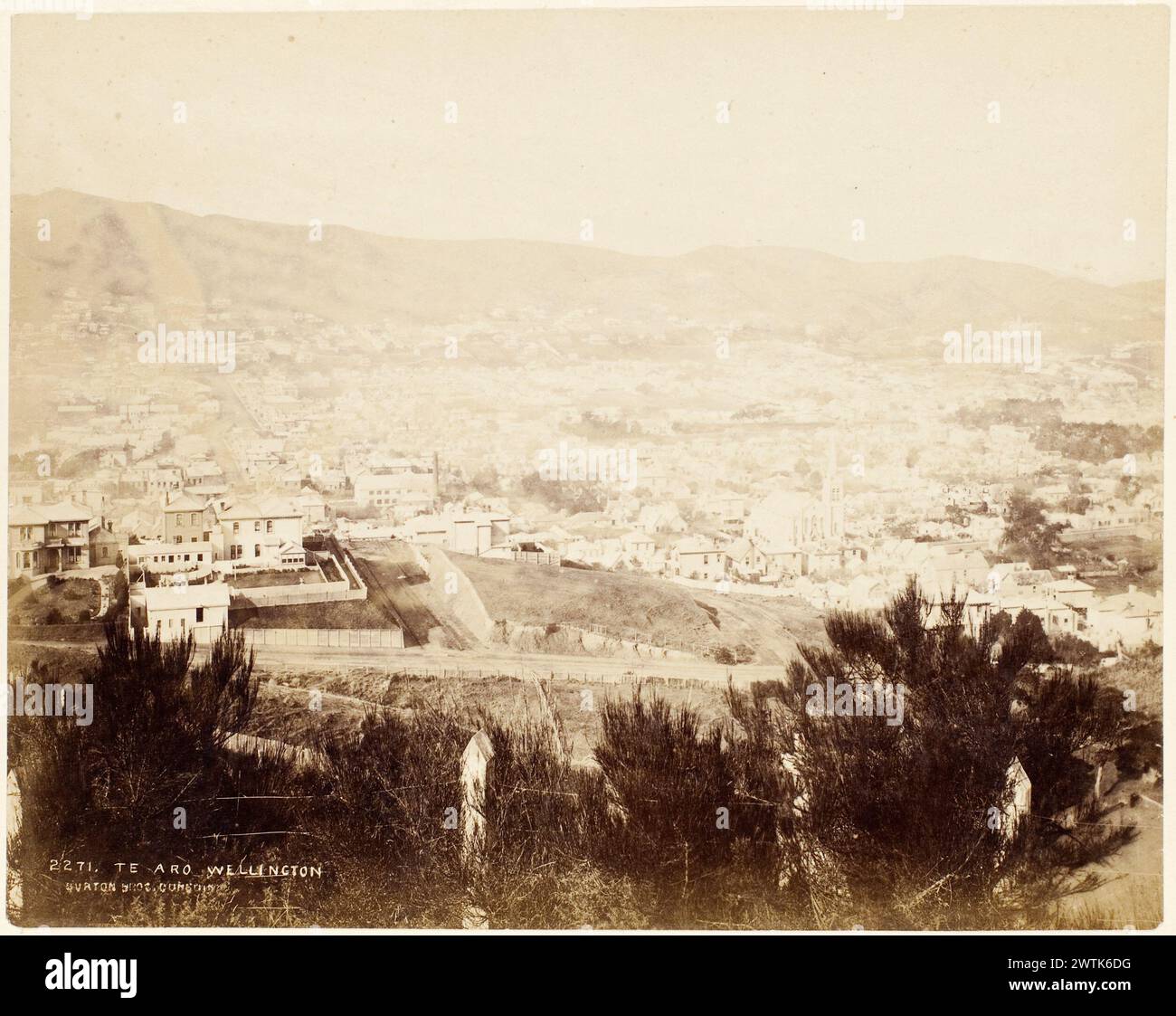 Te Aro, Wellington. From the album: New Zealand Views albumen prints ...