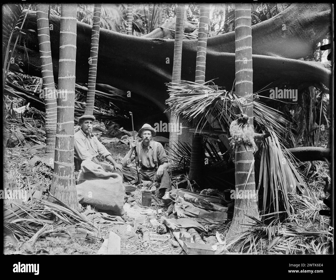 Shack and fallen Banyan - J Waterhouse and RS Bell black-and-white ...
