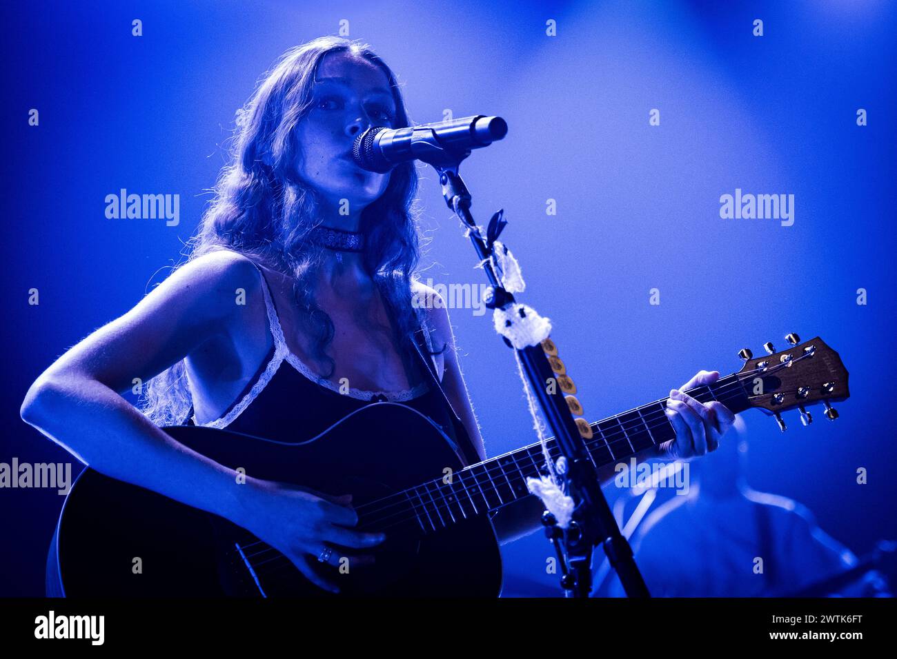Holly humberstone hi-res stock photography and images - Alamy