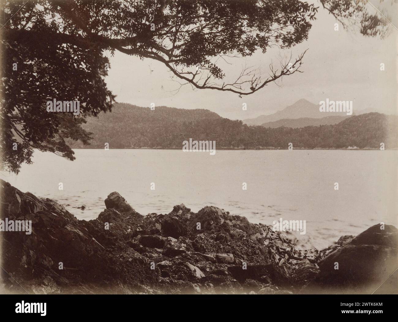 Cuttle Cove, Preservation Inlet black-and-white prints Stock Photo - Alamy