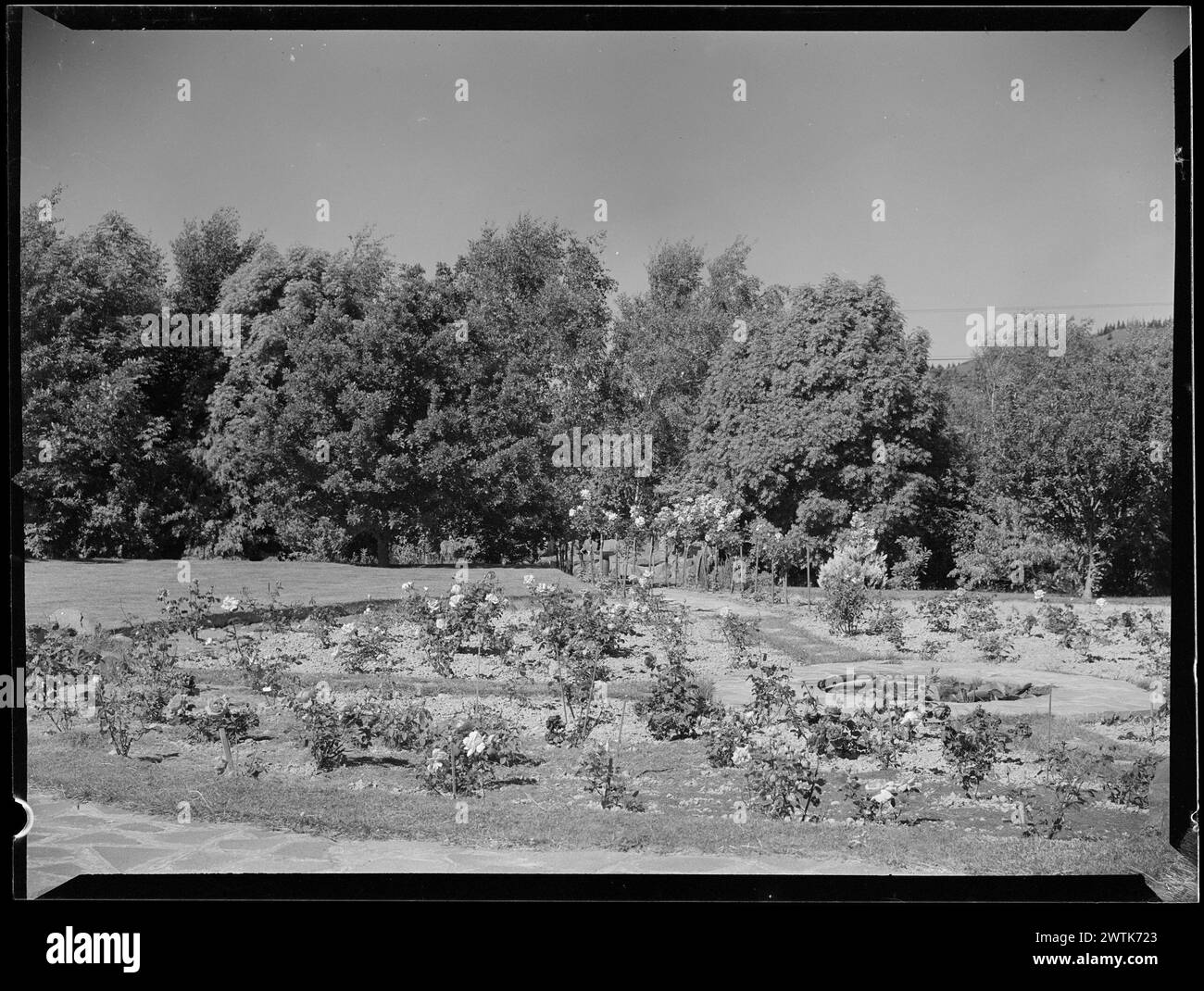 Mrs Mitchell and child, Rimu Street gelatin silver negatives, black-and ...