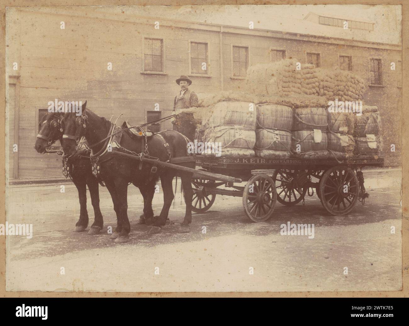 Black white horse drawn hi-res stock photography and images - Alamy