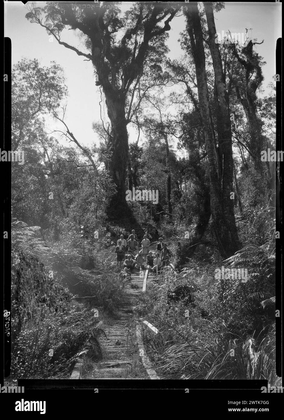 Ascent of (possibly) Makehiko Trig - 13 October 1929 Nitrate negatives ...