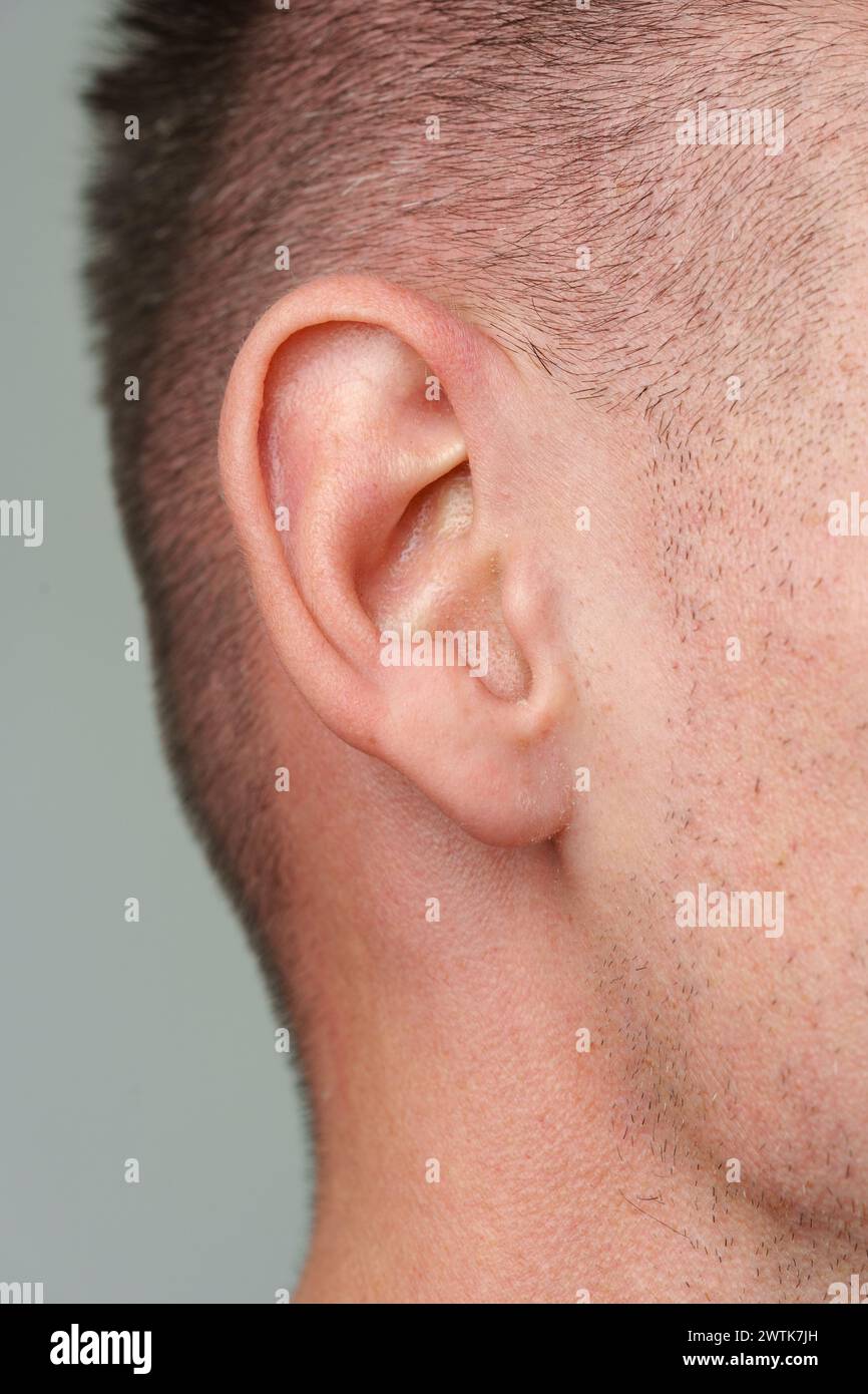 Male human ear close-up shot on gray background Stock Photo - Alamy