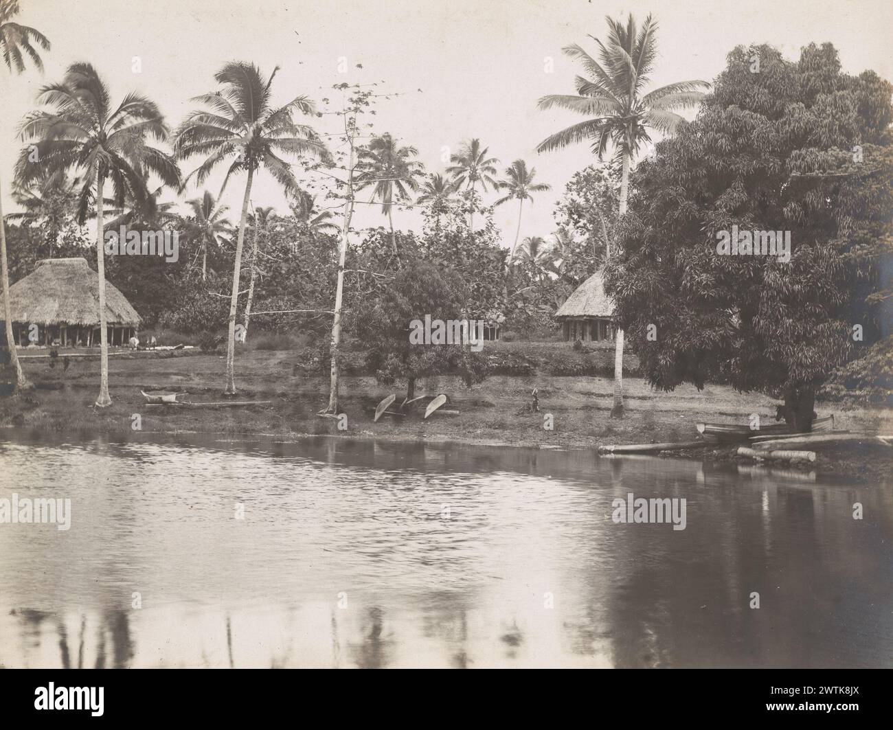 Bay with fale and palm trees. From the album: Photographs of Apia ...