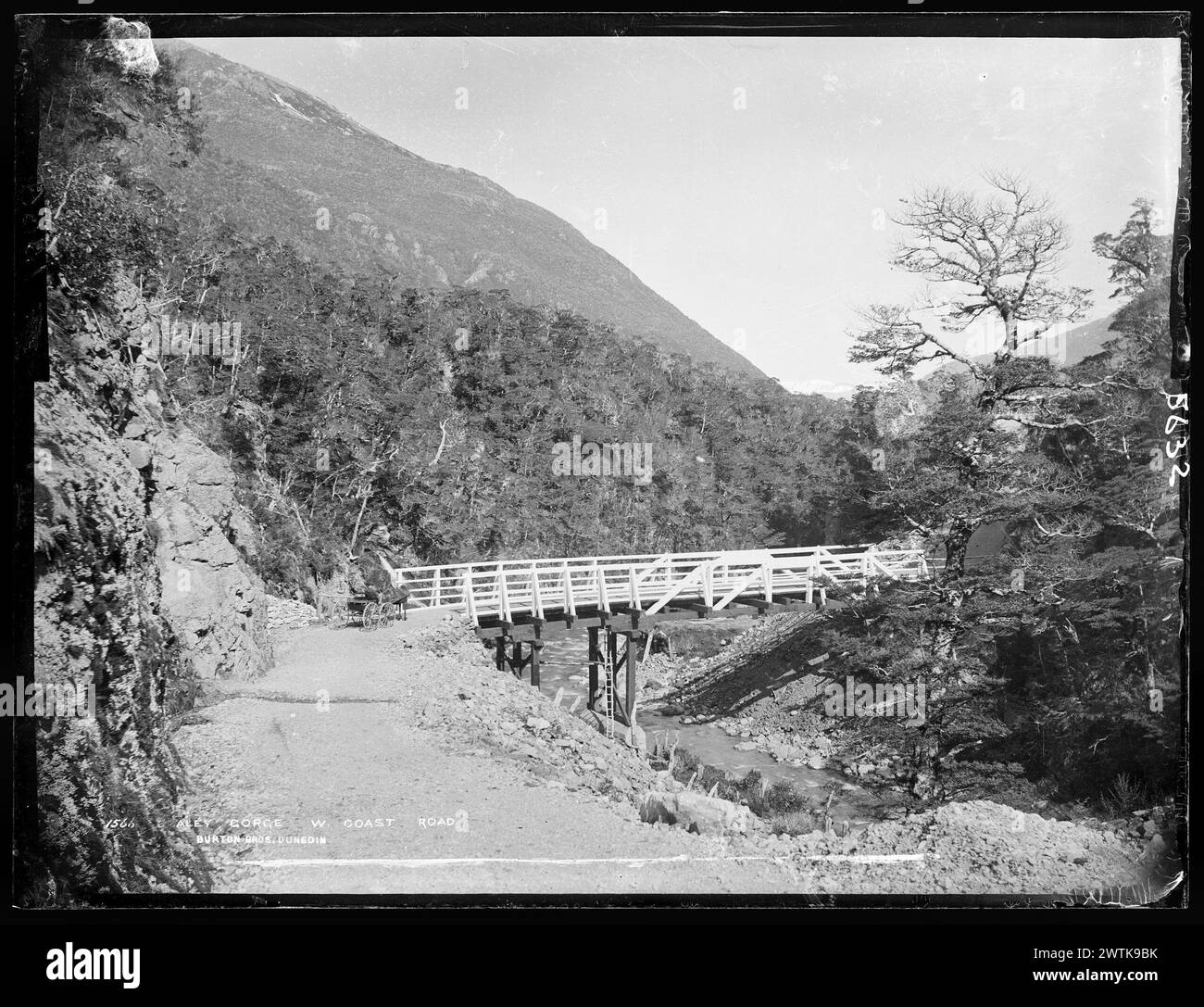 Bealey Gorge, West Coast Road gelatin dry plate negatives, black-and ...