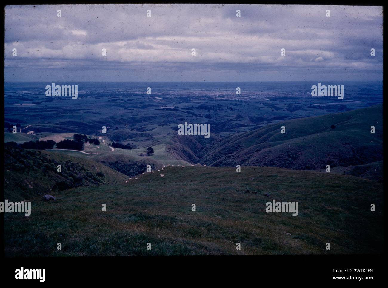 Taupiri stream hi-res stock photography and images - Alamy