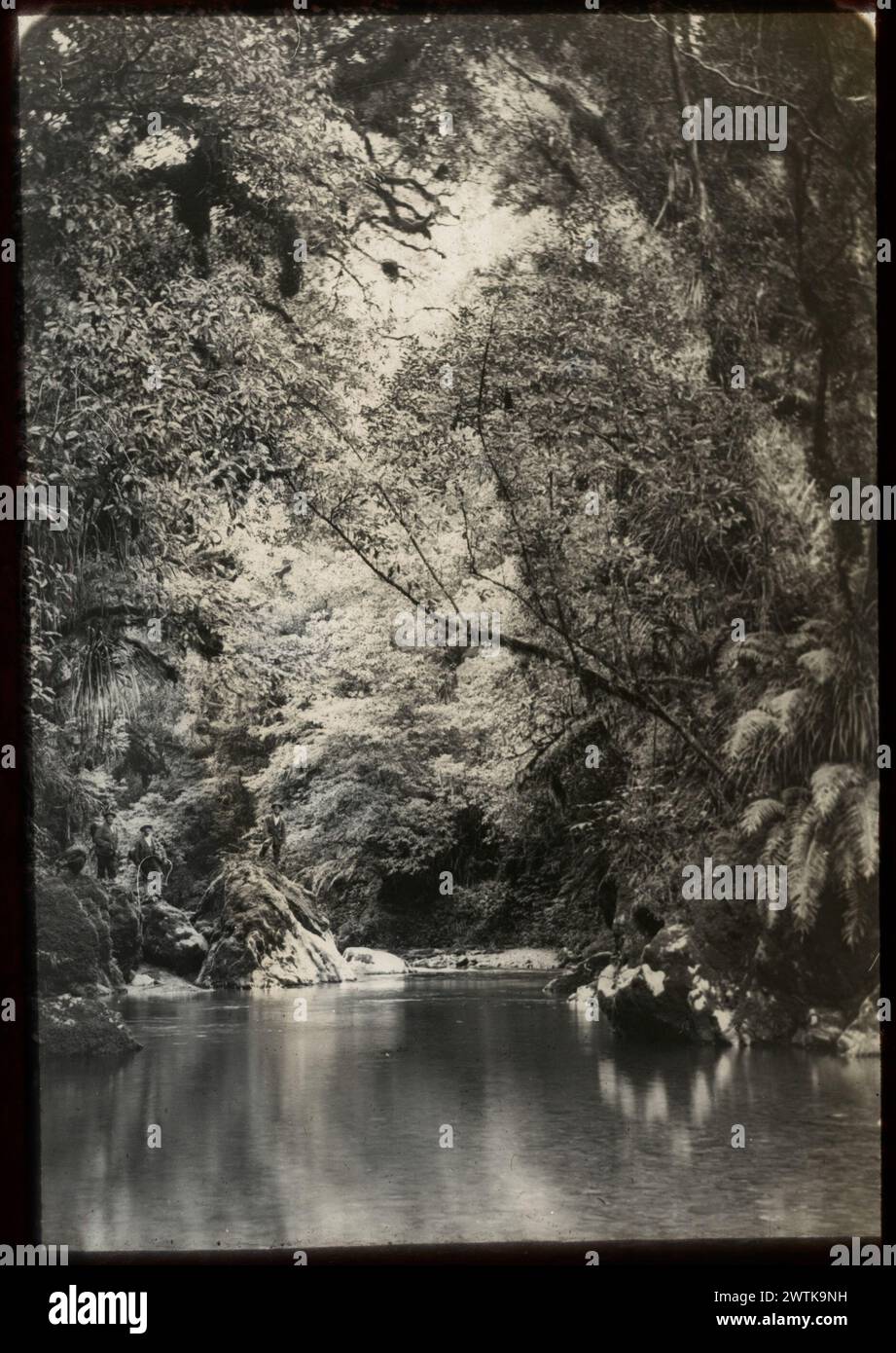 First Crossing from Levin to Eketahuna : Scenery of the Ohau River ...