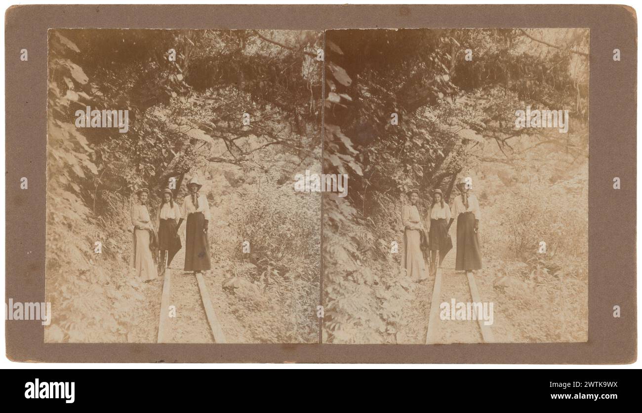 Turitea hi-res stock photography and images - Alamy