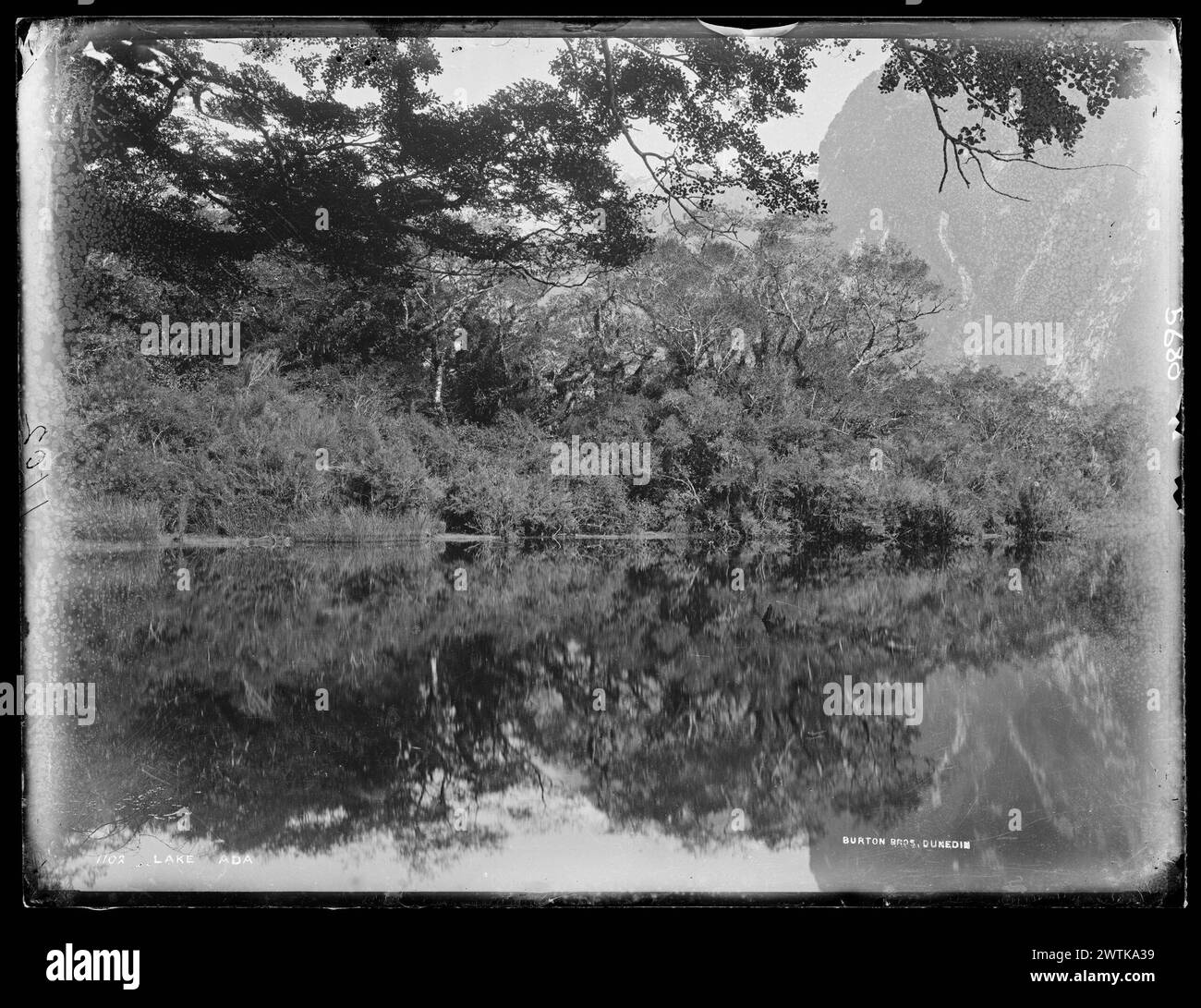 Lake Ada gelatin dry plate negatives, black-and-white negatives Stock ...