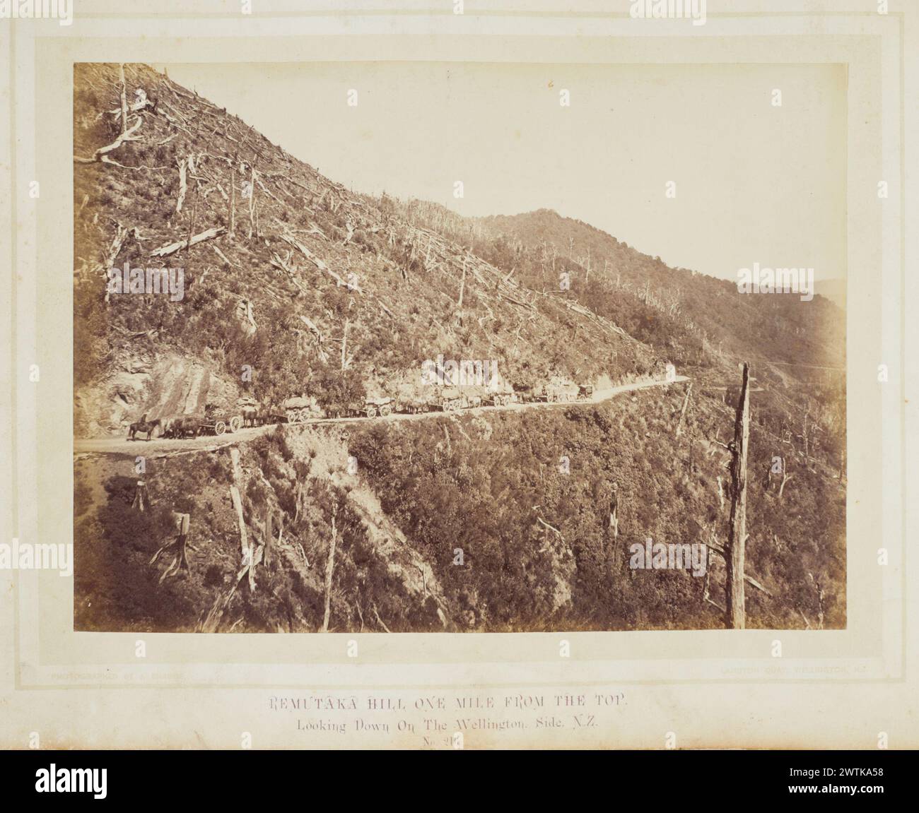 Remutaka [Rimutaka] Hill, one mile from top, looking down on the ...