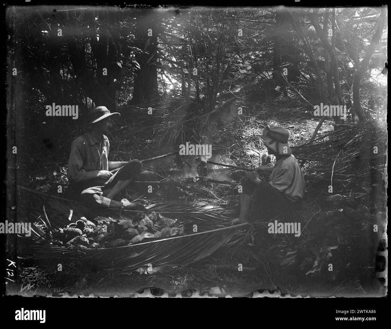 Mutton-birding : Singeing, Ray Bell & R Oliver black-and-white ...