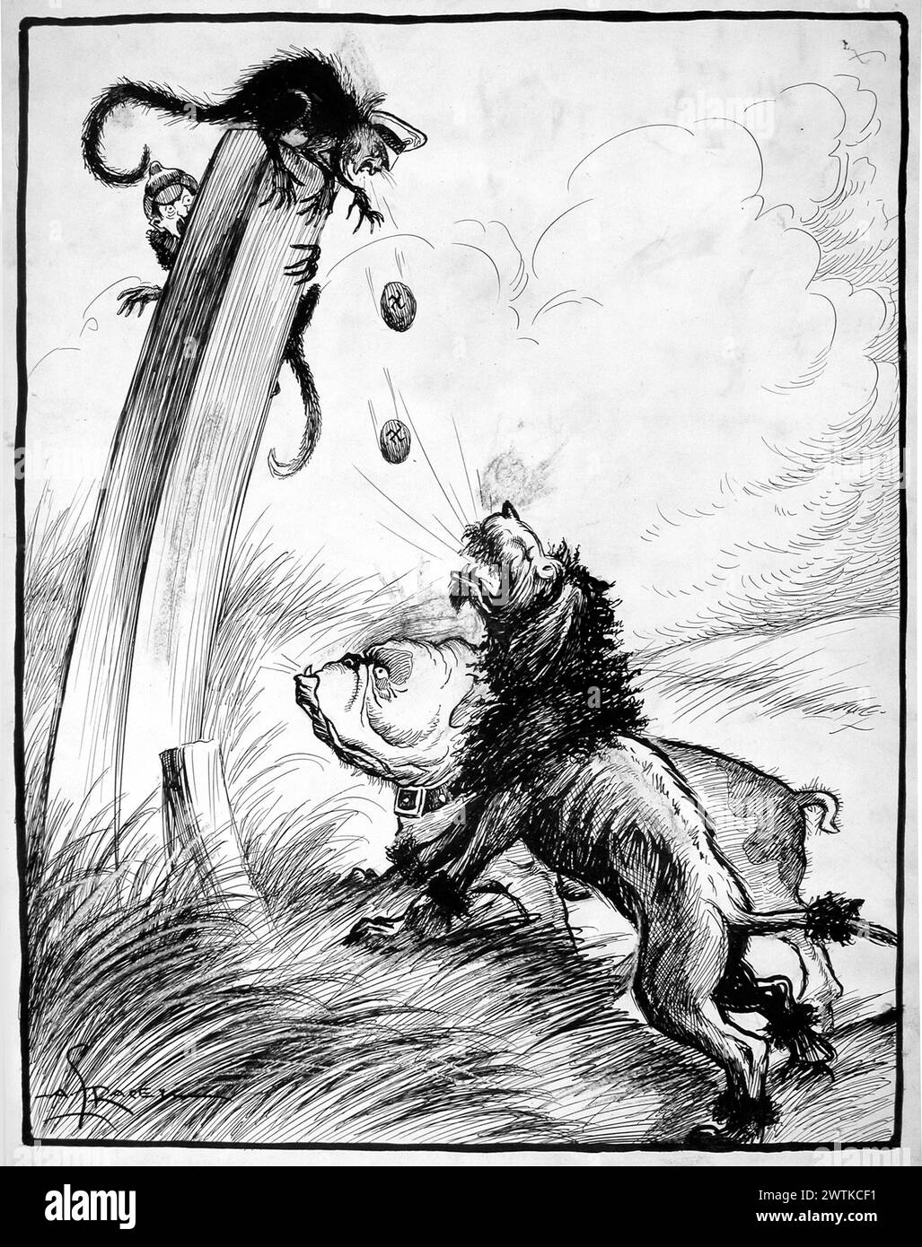 Cartoon - The Dogs and the Monkeys Arthur George Racey (1870-1941 Stock ...