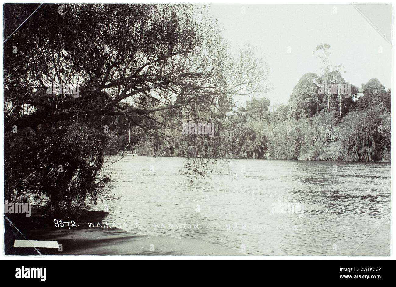Waikato River, Hamilton black-and-white prints Stock Photo - Alamy