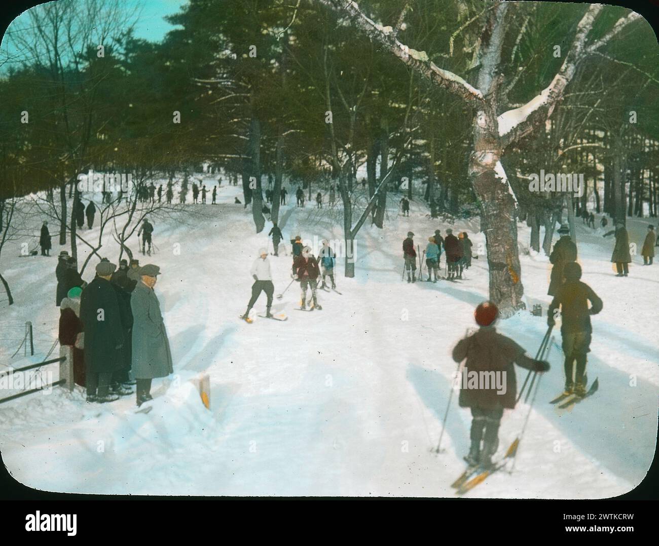 Rockliffe park hi-res stock photography and images - Alamy