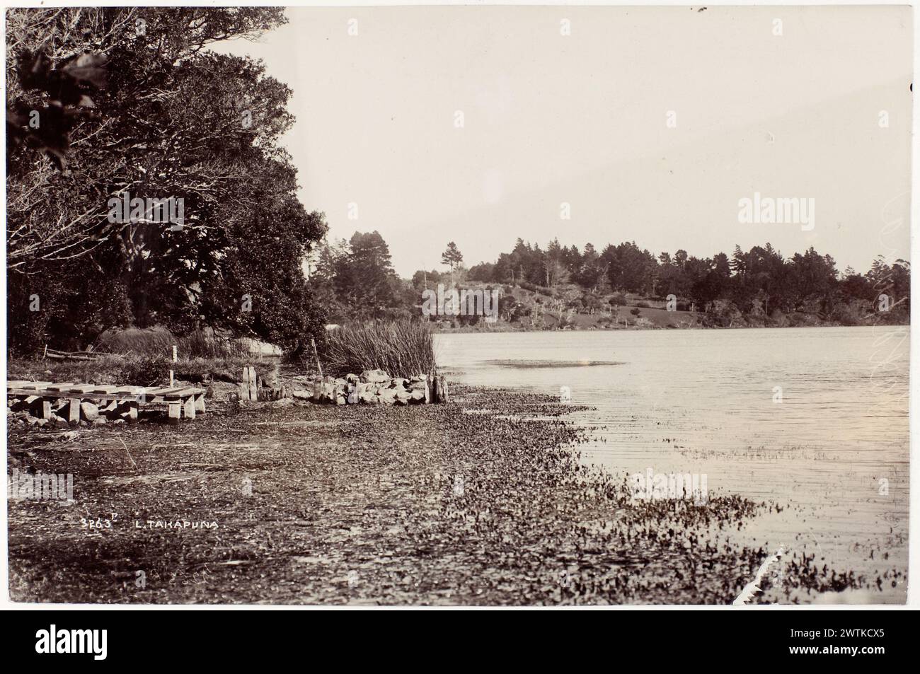 Lake Takapuna black-and-white prints, vintage prints, albumen prints ...