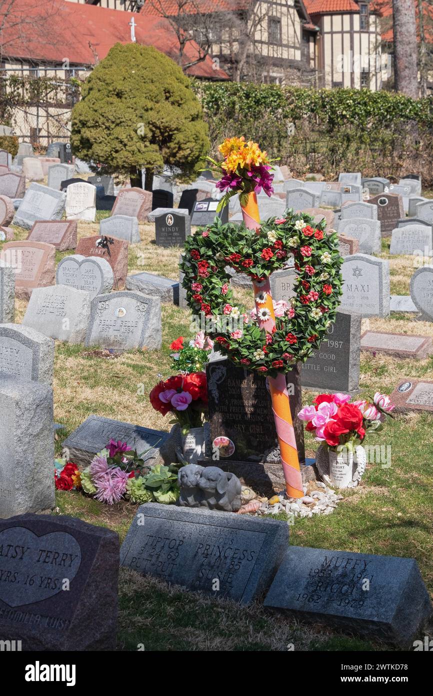 Flowers grave gravesite cemetery hi-res stock photography and images ...