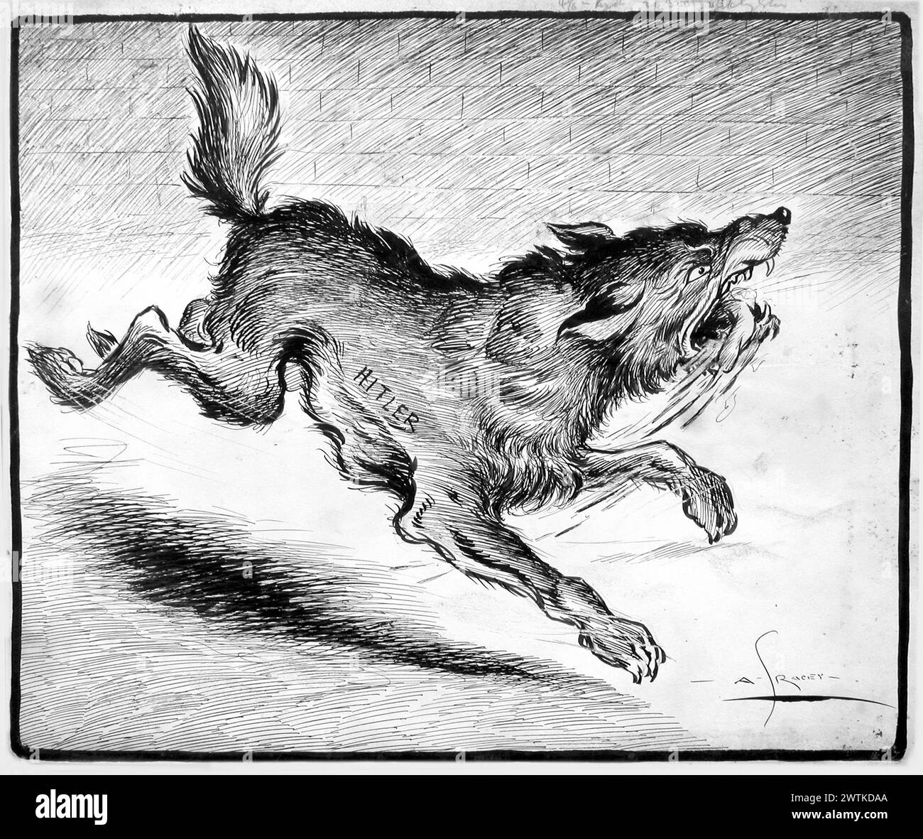 Cartoon - Unleashed Rabid Dog Arthur George Racey (1870-1941 Stock ...