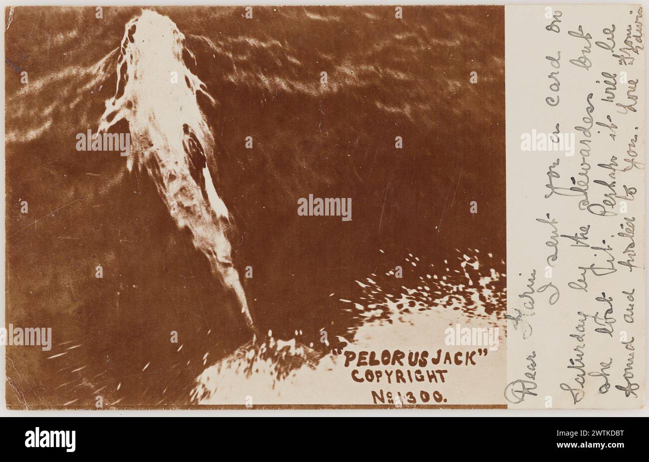 Pelorus jack pelorus jack hi-res stock photography and images - Alamy