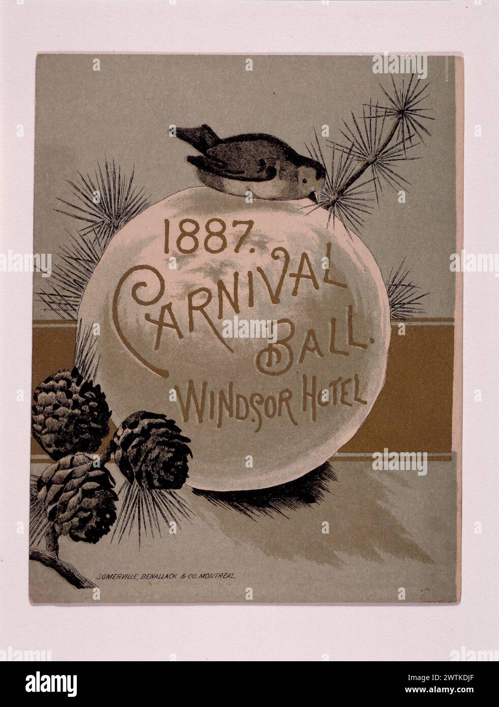 Chromolithograph - 1887. Carnival Ball. Windsor Hotel Anonymous Stock ...