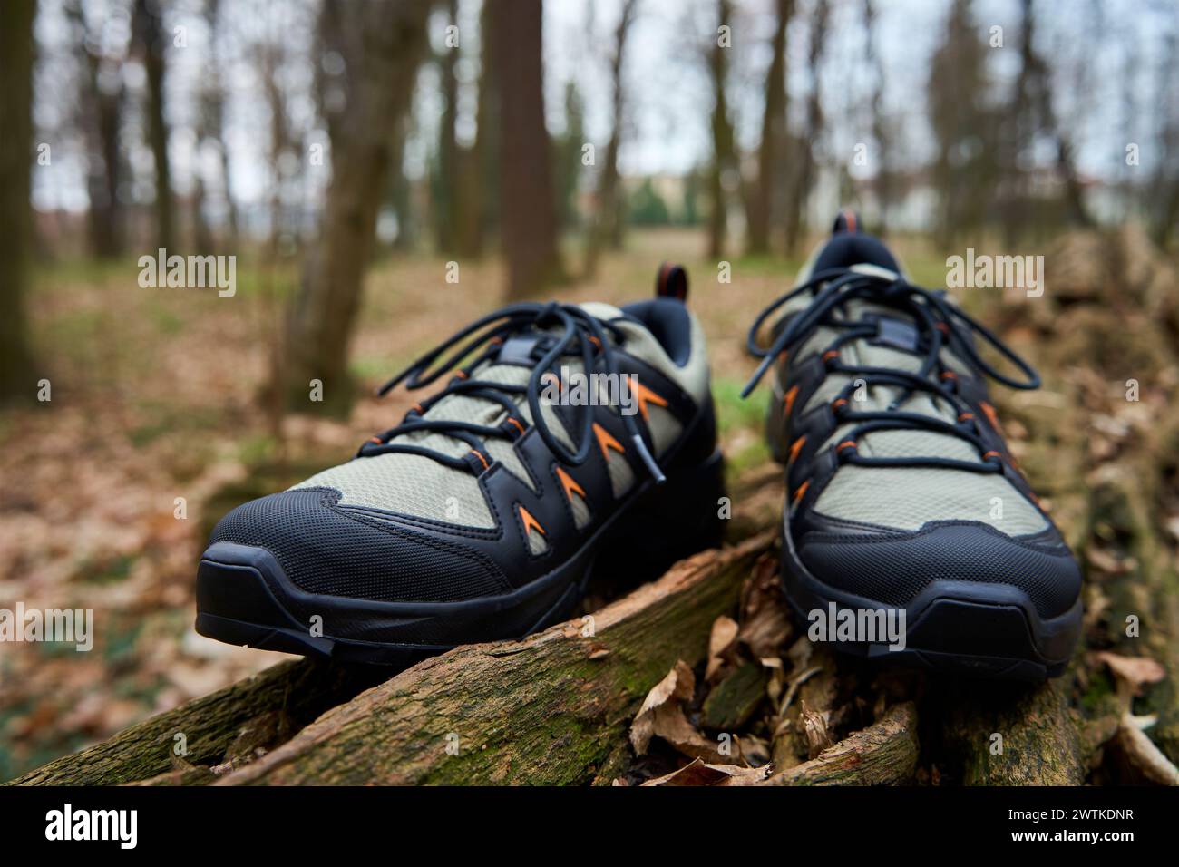 Hiking Boots in Nature. Sturdy trekking shoes against a backdrop of ...