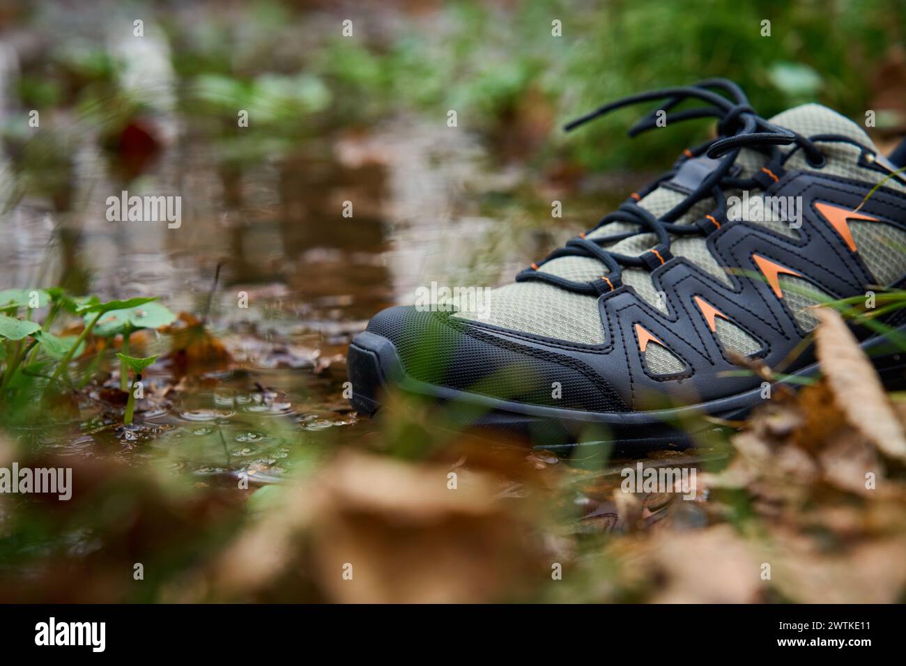 Hiking boots stands on forest floor, submerged in water puddle ...