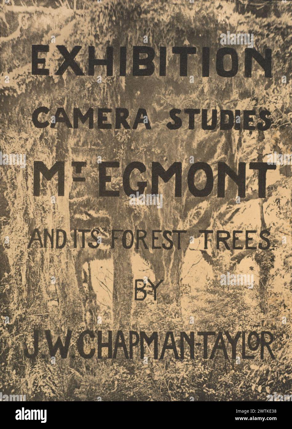 Exhibition Camera Studies : Mt Egmont and its forest trees by JW ...