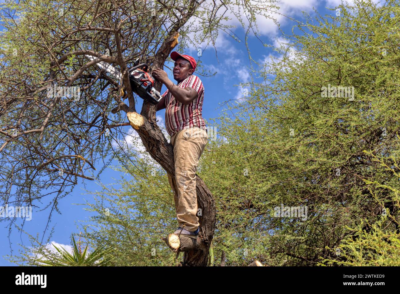 African american african american hi-res stock photography and images ...