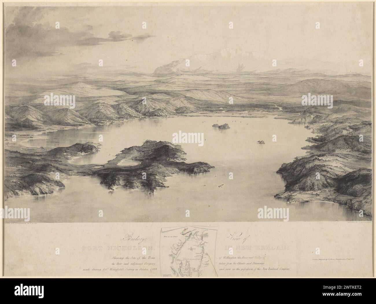 Birdseye view of Port Nicholson in New Zealand prints, lithographs ...