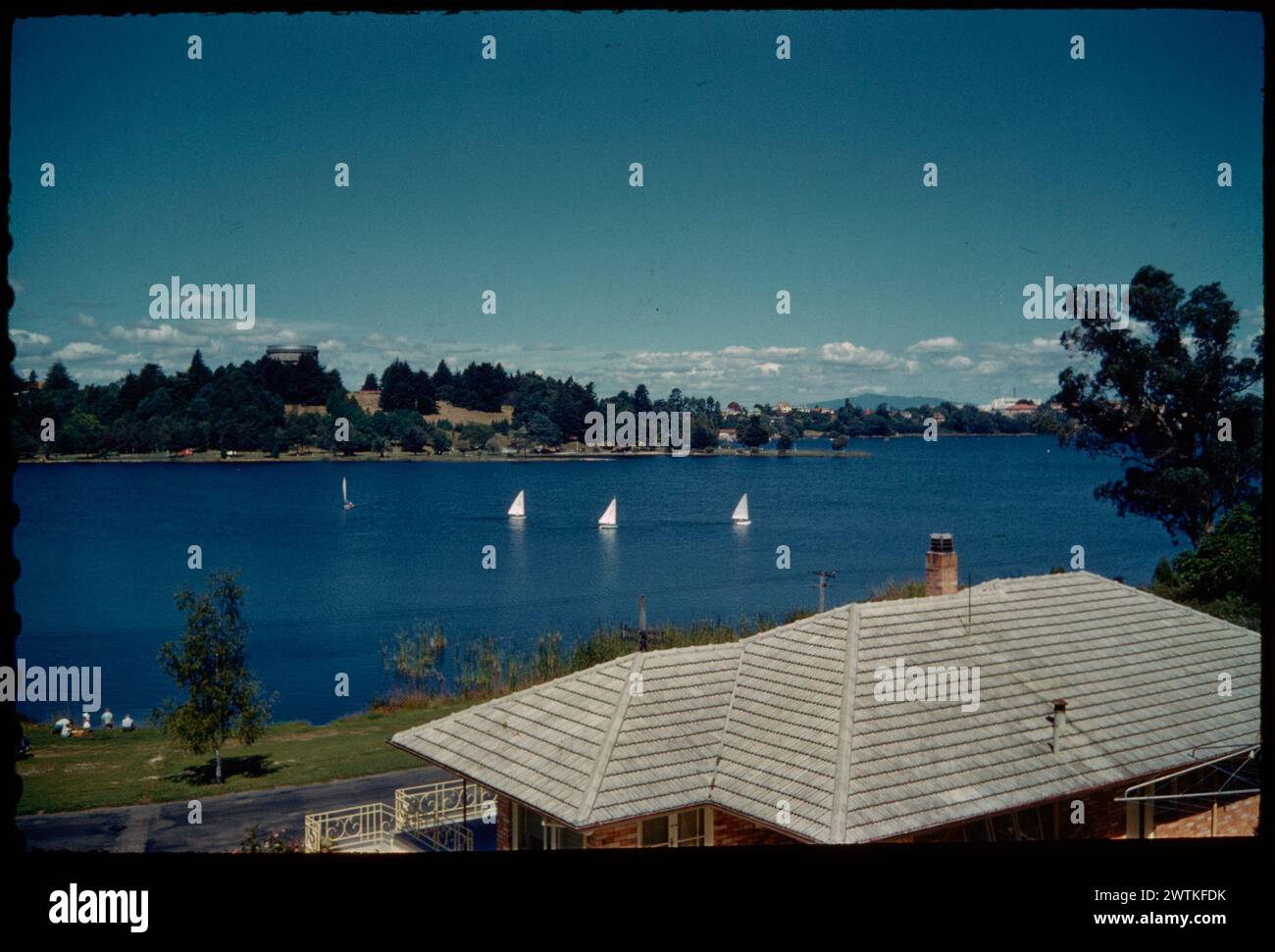 Panorama of Lake Hamilton from the home of Wally Neill colour ...