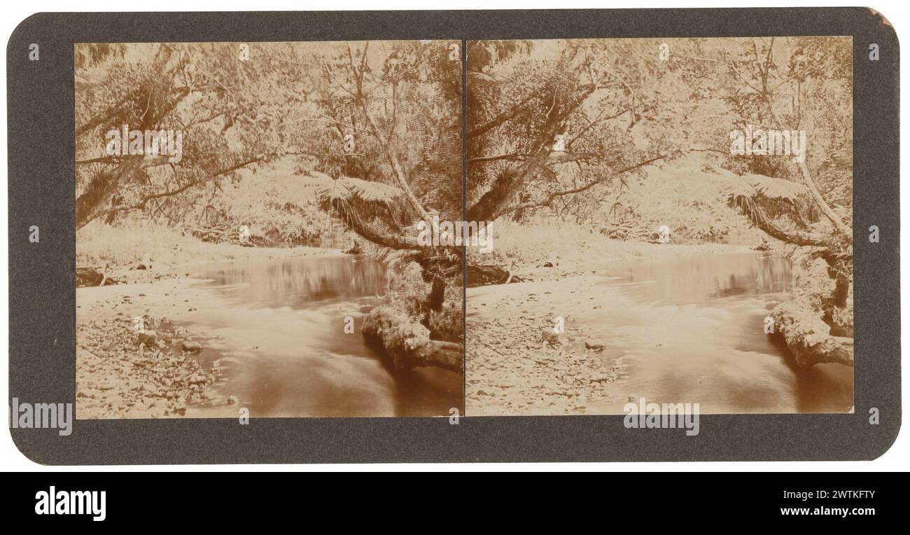 Untitled [ river ] albumen prints, black-and-white prints, stereoscopic ...
