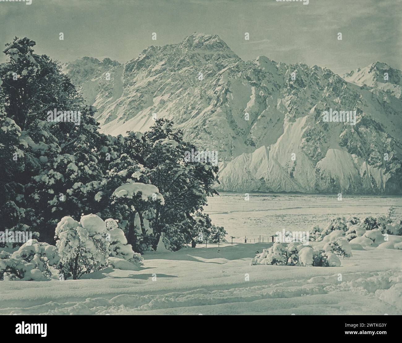 Tommy cook hi-res stock photography and images - Alamy